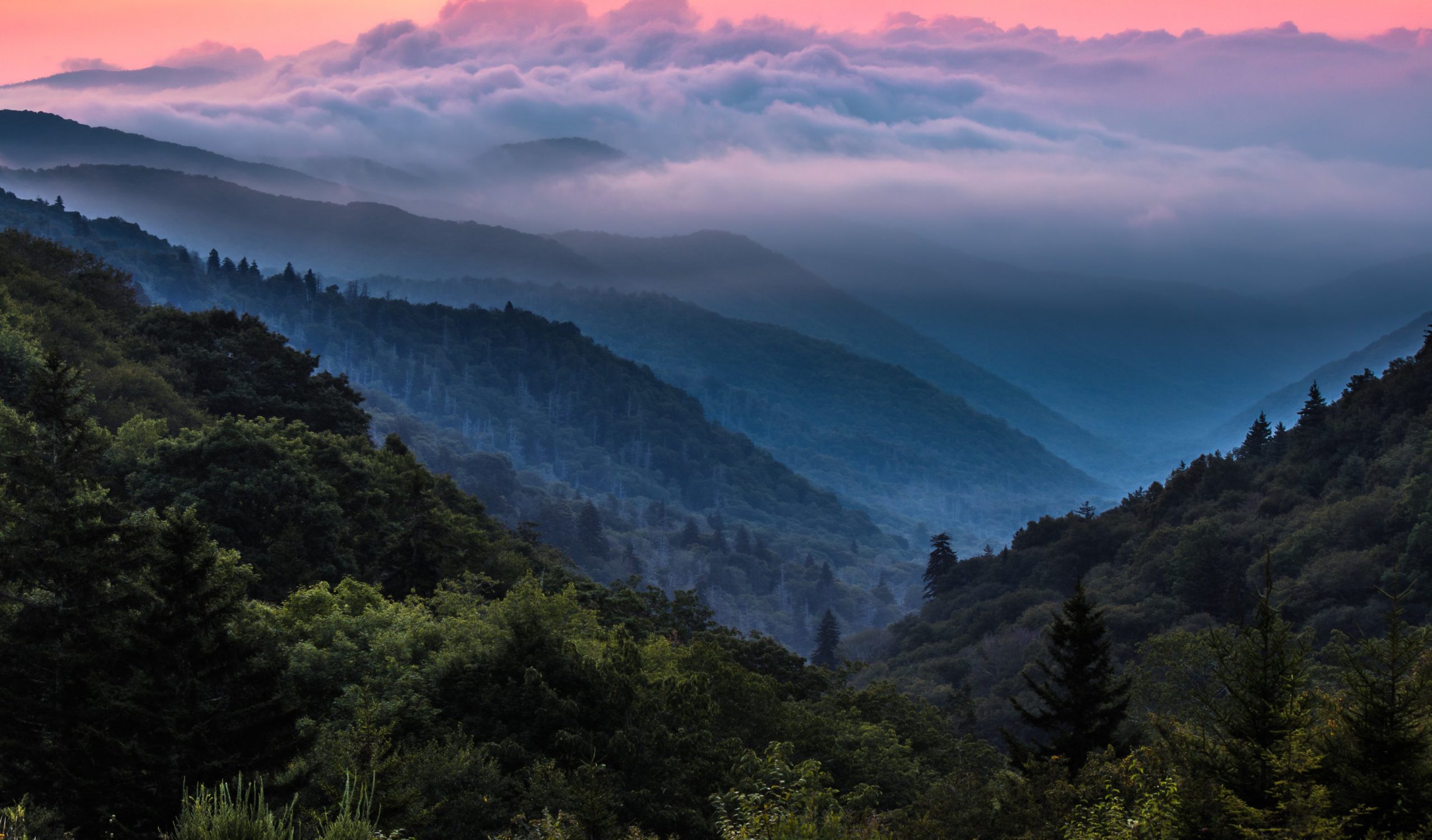 Home - Appalachian Headwaters